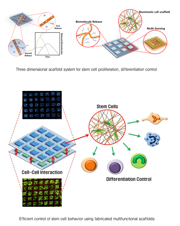 Research | Yonsei University - Biomaterials Lab